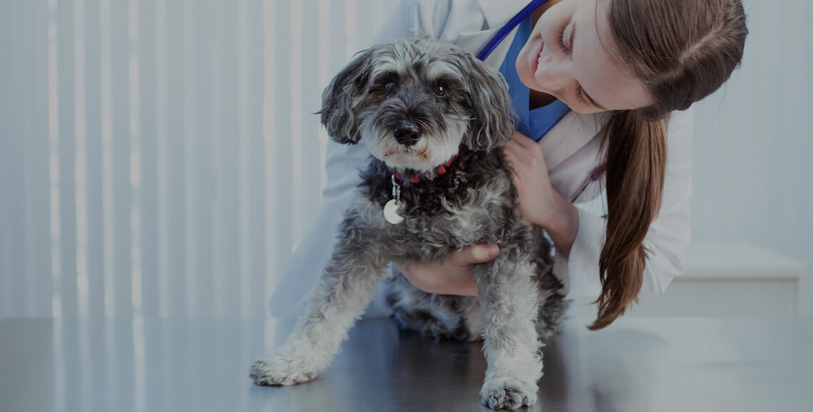 NOAH (National Office of Animal Health)