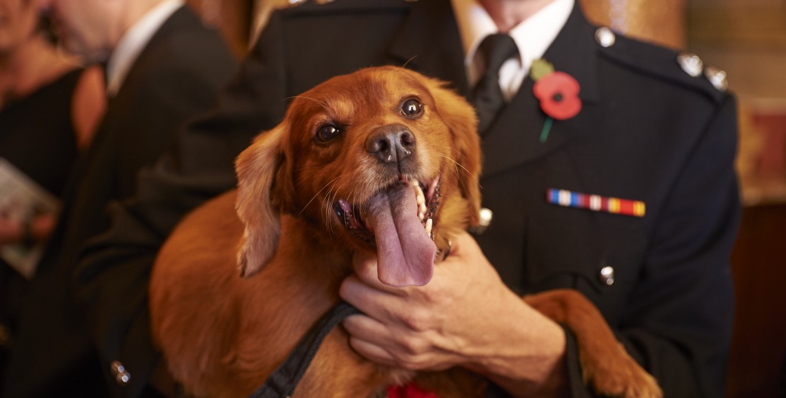 NOAH (National Office of Animal Health)