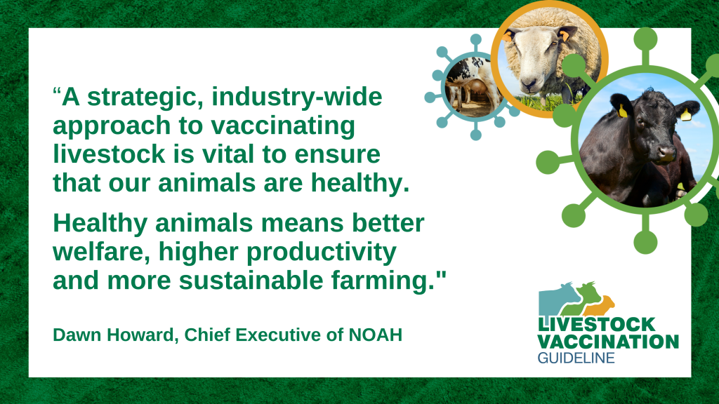 NOAH Livestock Vaccination Guideline provides direct support on-farm to improve welfare ...