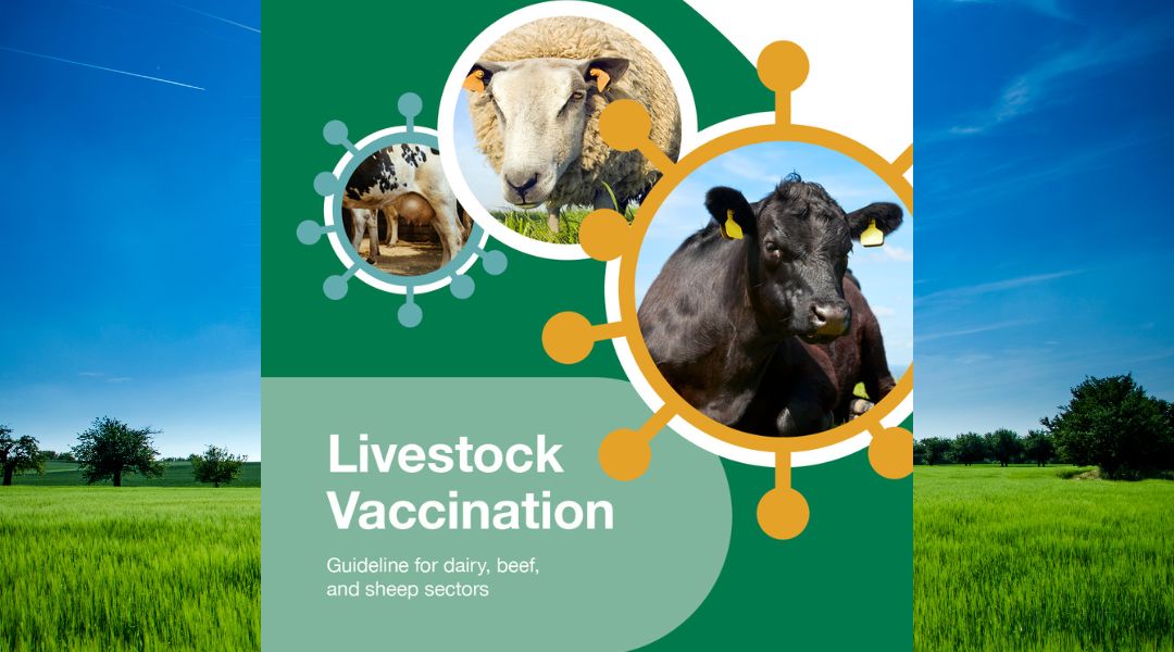 Become a Livestock Vaccination Champion on World Animal Vaccination Day | NOAH (National Office ...