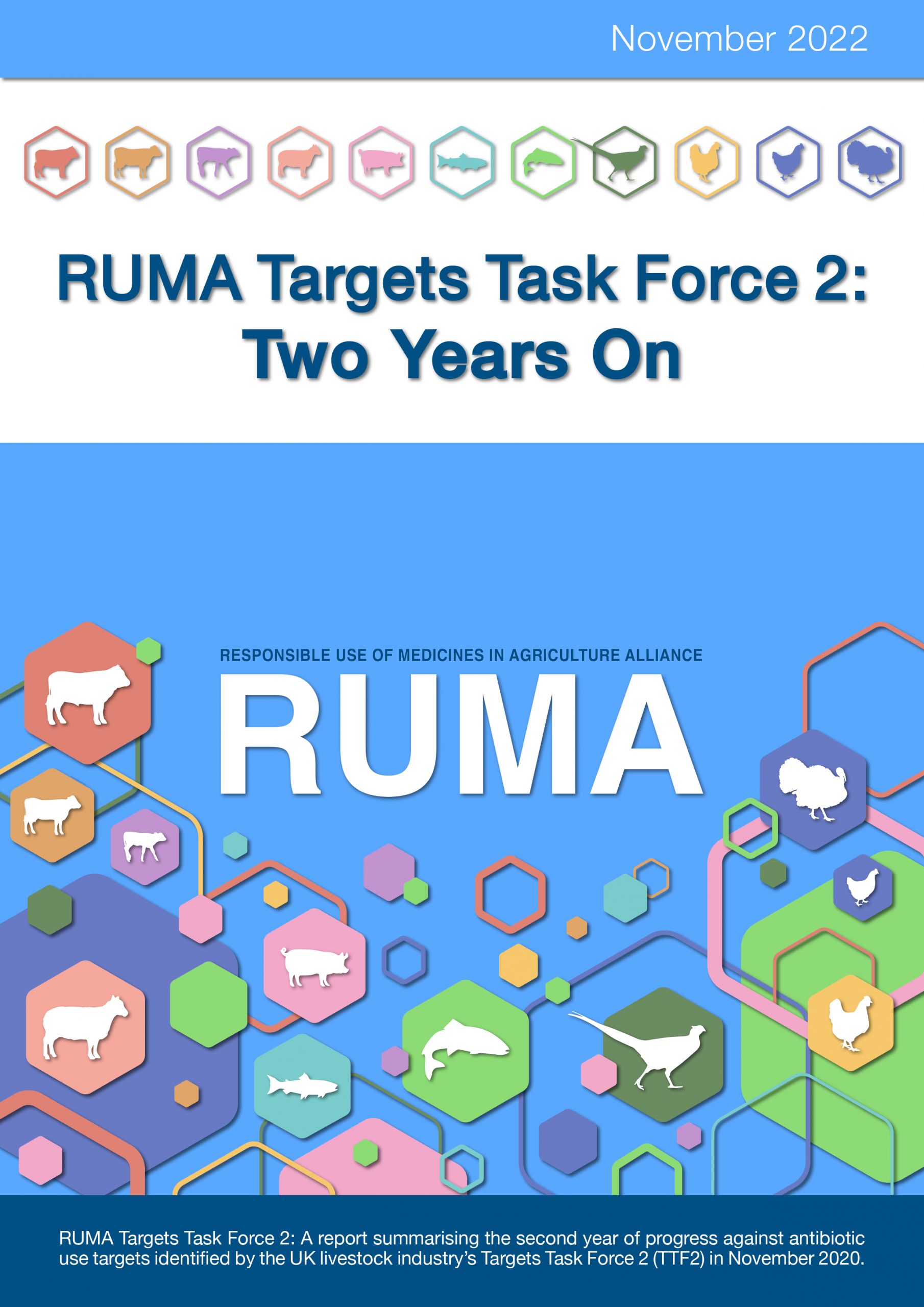 Latest RUMA Targets Task Force report reveals UK livestock sectors ...