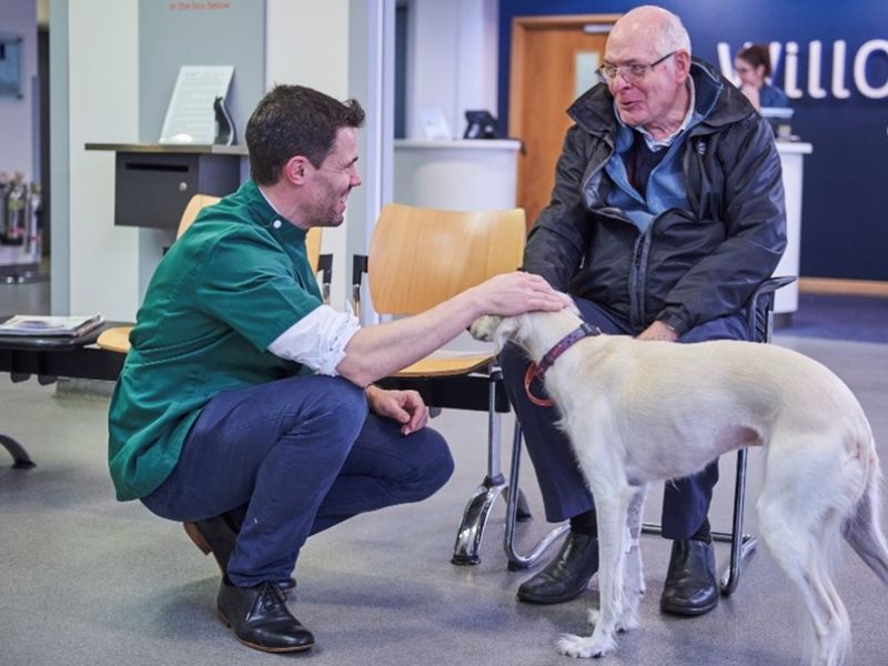 NOAH supports pilot veterinary antibiotic amnesty | NOAH (National ...