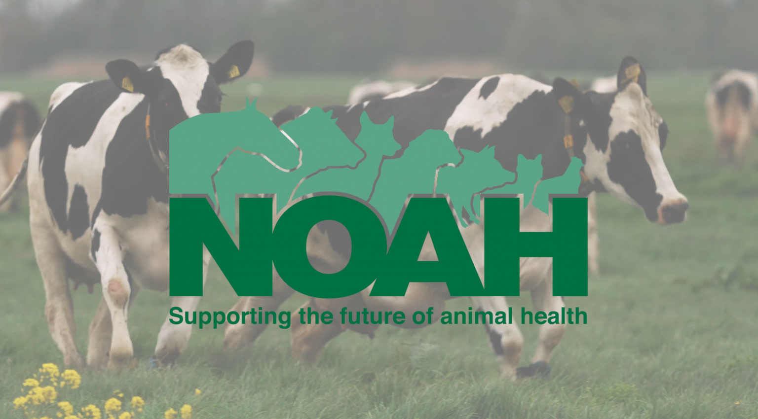 About Us | NOAH (National Office of Animal Health)