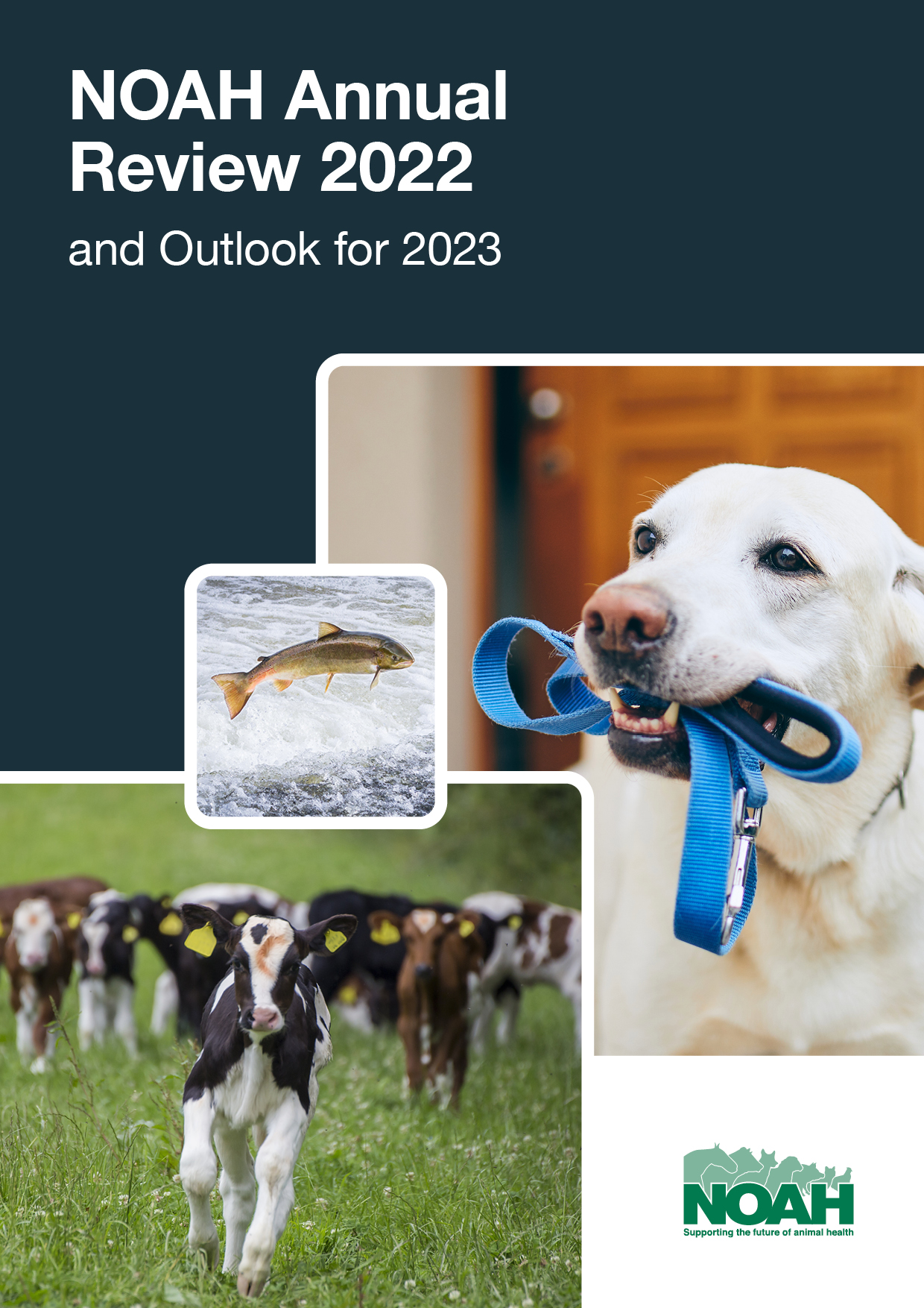 NOAH Annual Review for 2022 and Outlook for 2023 | NOAH (National Office of Animal Health)