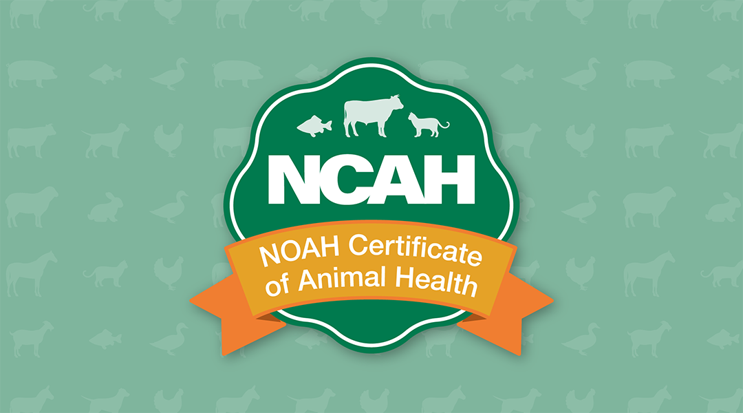 New NCAH Campaign to raise awareness of animal health representatives’ expertise | NOAH ...