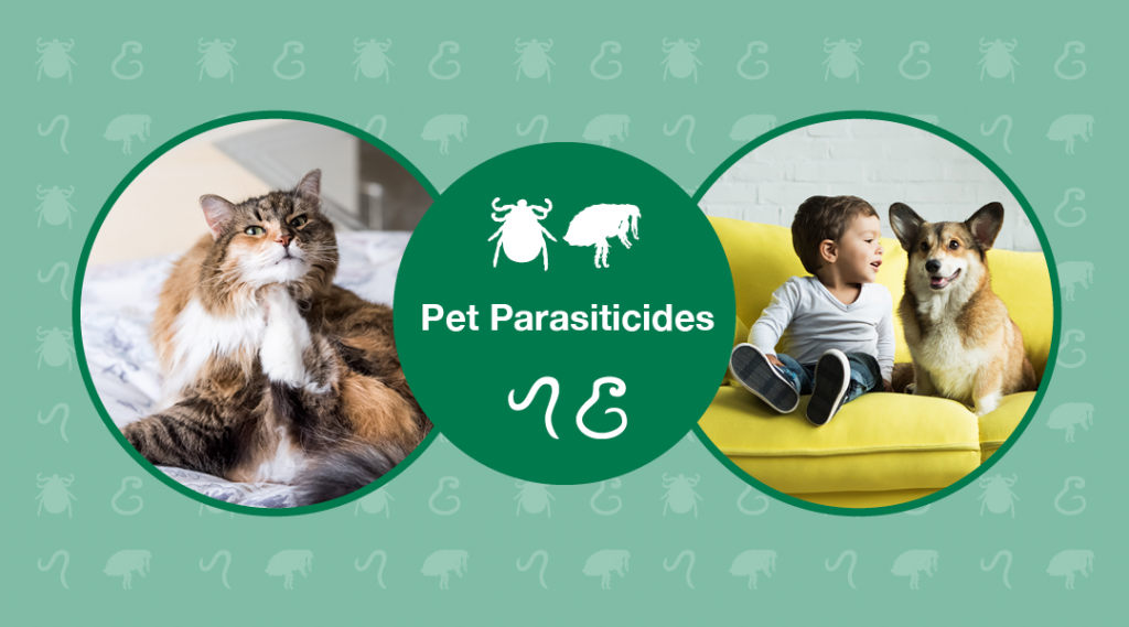 Companion Animal Parasite Control | NOAH (National Office of Animal Health)