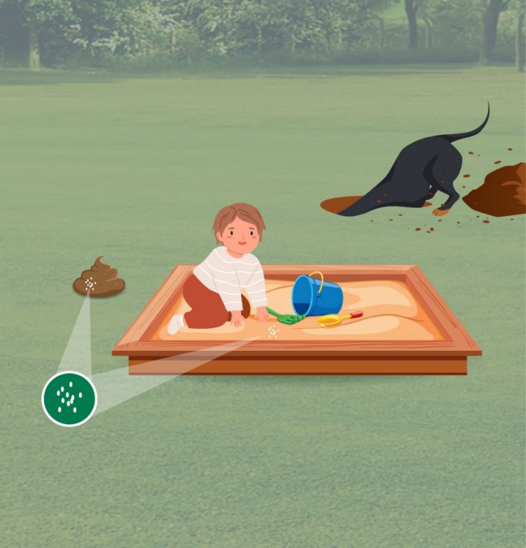 Responsible Parasite Control Use | NOAH (National Office of Animal Health)